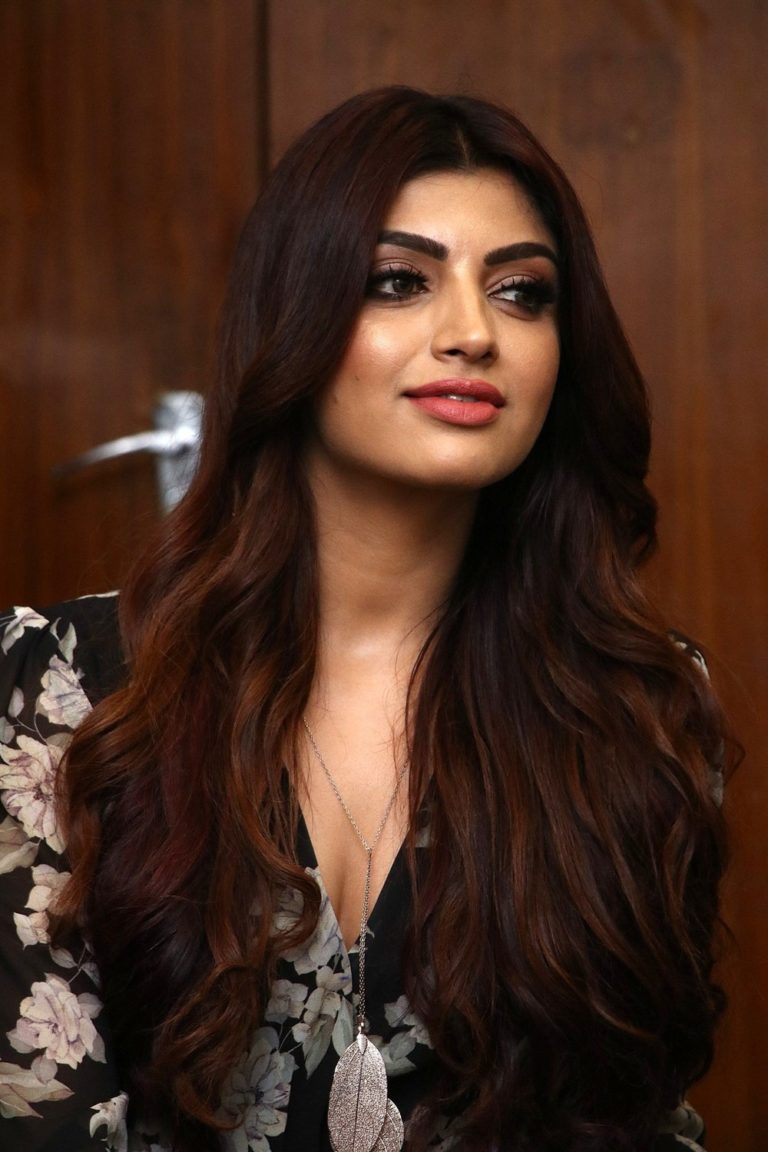 Akanksha Puri Photos at Action Movie Press Meet - South Indian Actress