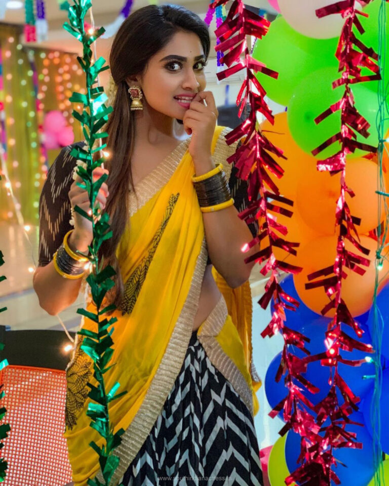 Shivani Narayanan beautiful saree stills – South Indian Actress