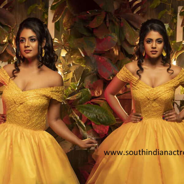 Ineya hot stills in traditional ethnic wear - South Indian Actress