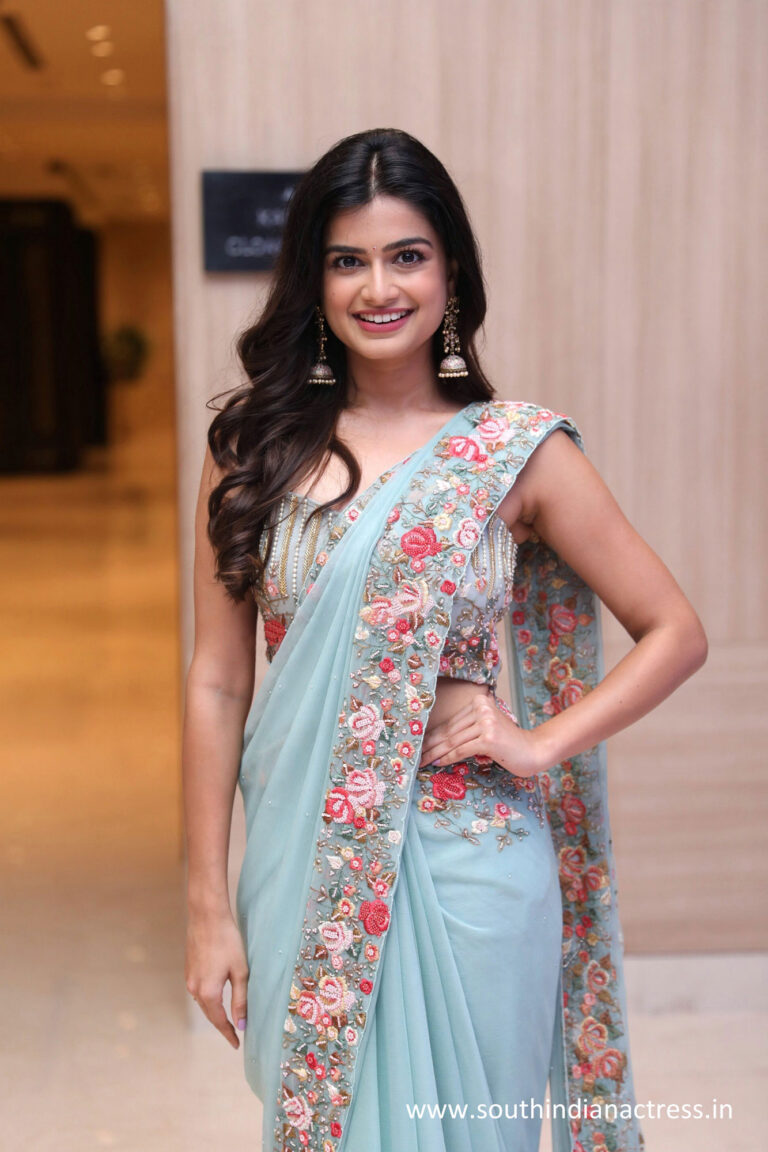 Hemal Ingle saree stills from Power Play Movie Pre Release