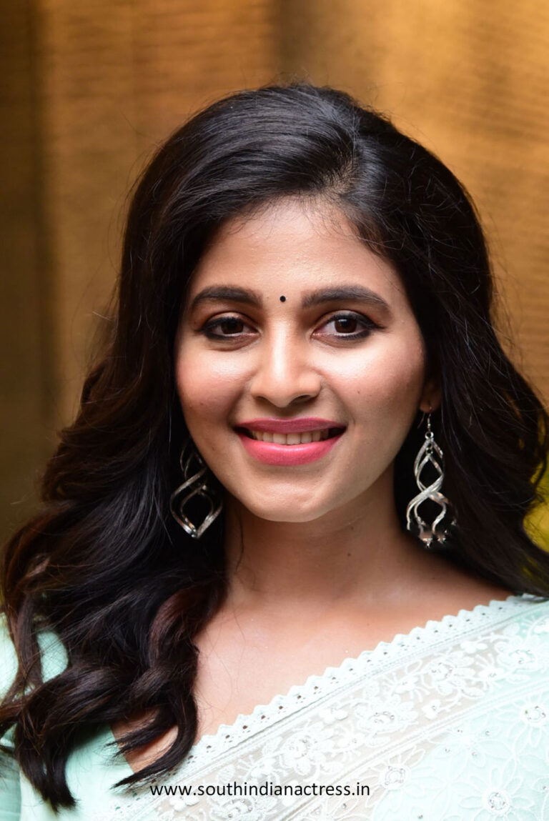 Anjali in saree stills at Vakeel Saab Maguva Nee Vijayam Event