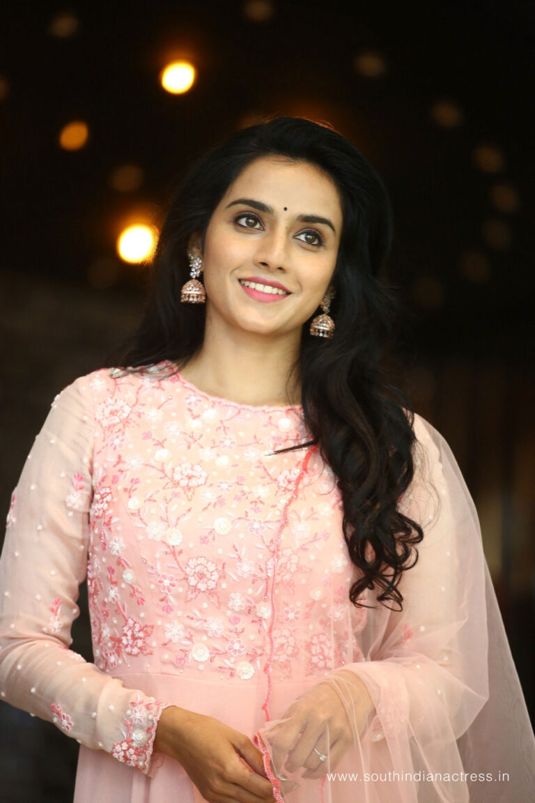 Ann Sheetal at Kinnerasaani Movie Trailer Launch - South Indian Actress