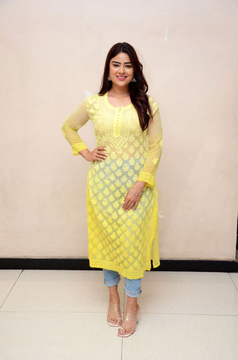 Priyanka Sharma stills at MENTOO Press Meet - South Indian Actress