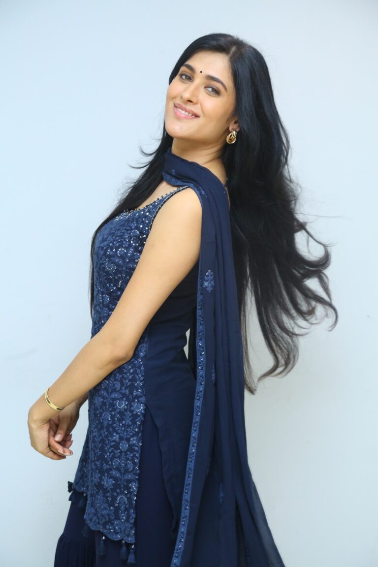 Geethika Tiwary at Ahimsa Press Meet - South Indian Actress