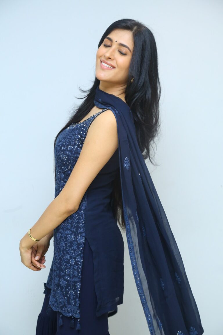 Geethika Tiwary at Ahimsa Press Meet - South Indian Actress