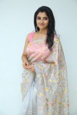 Syamala stills from Mayapetika movie pre release - South Indian Actress