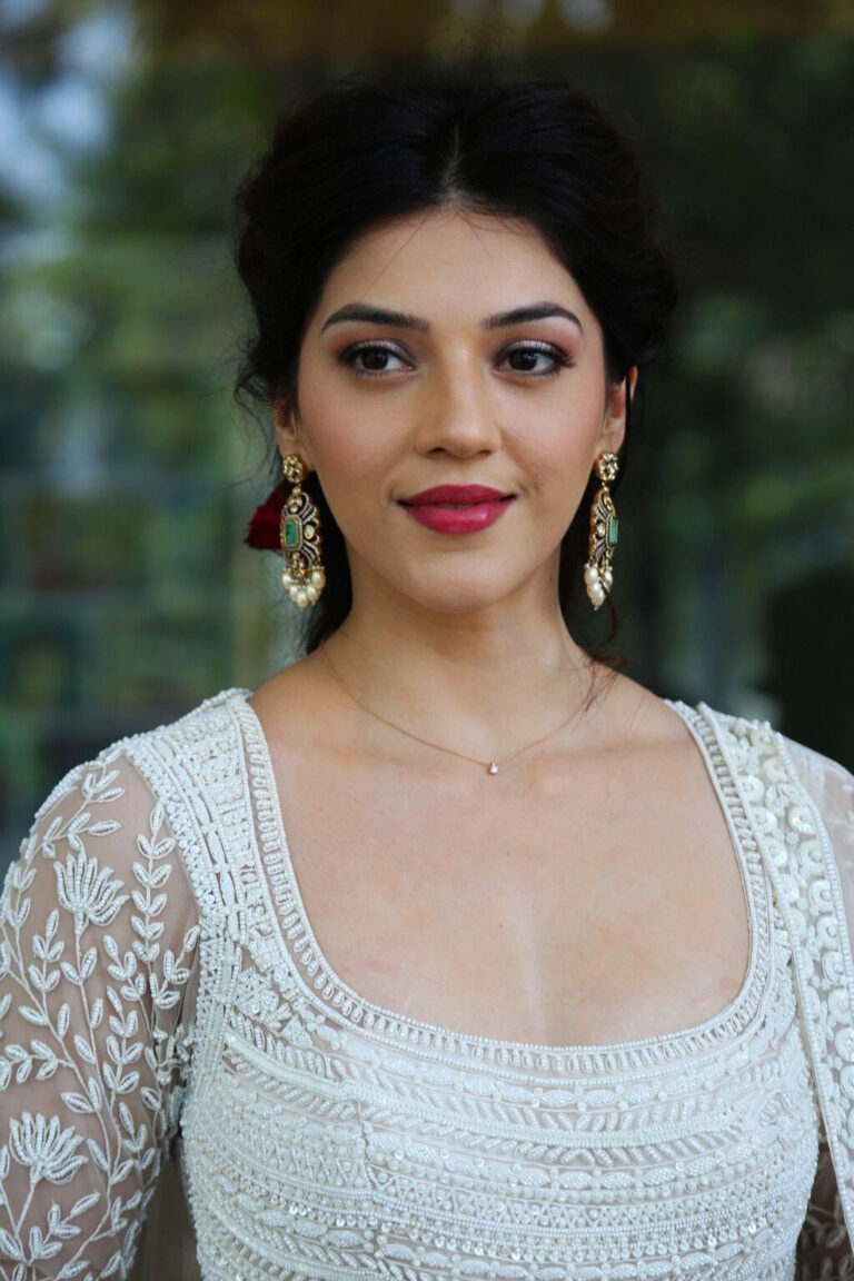 Mehreen Pirzada at Spark movie press meet - South Indian Actress