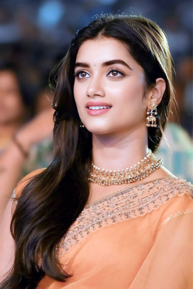 Bhagyashri Borse at Mr. Bachchan movie pre release - South Indian Actress