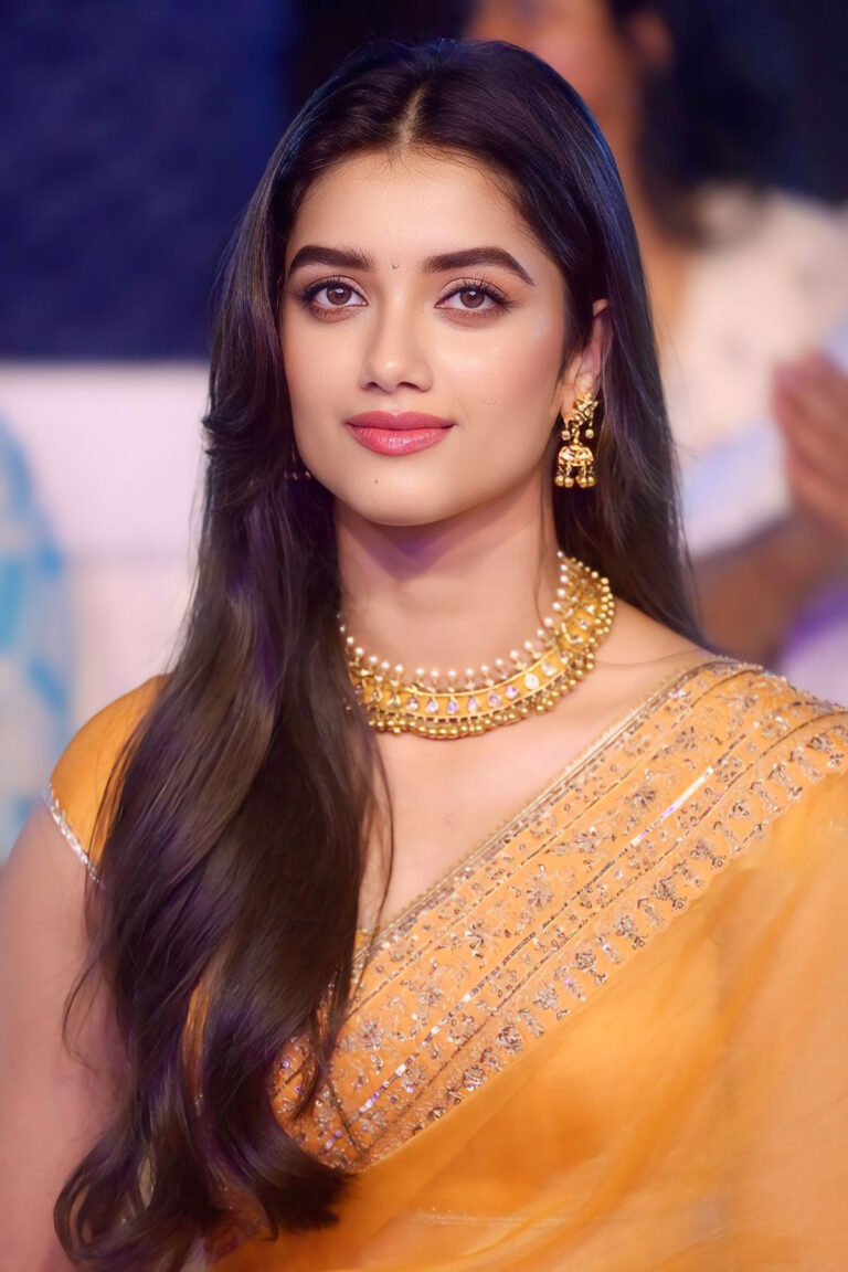 Bhagyashri Borse at Mr. Bachchan movie pre release - South Indian Actress